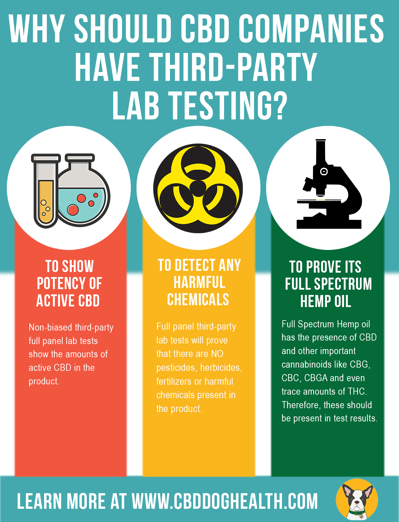 How to understand third-party lab tests for pet CBD products - Angela ...